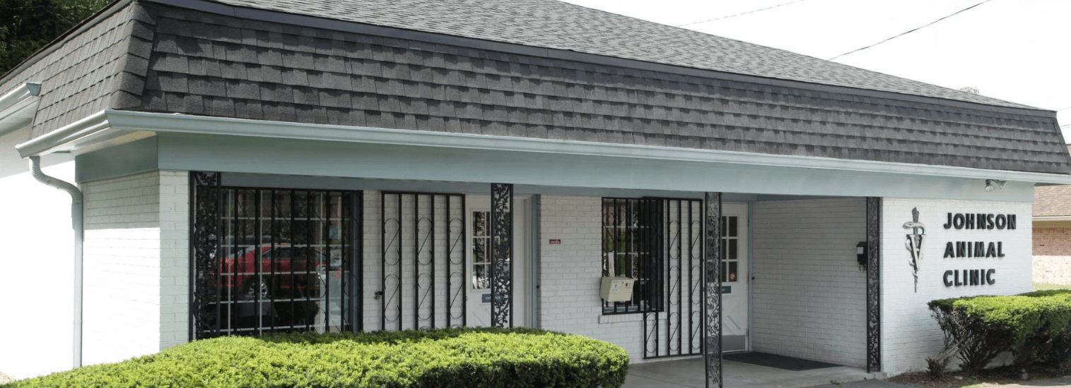 Top Rated Local Veterinarians – Johnson Animal Clinic